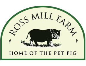 Ross Mill Farm: Home of the Pet Pig – Ross Mill Farm - Home of the Pet Pig