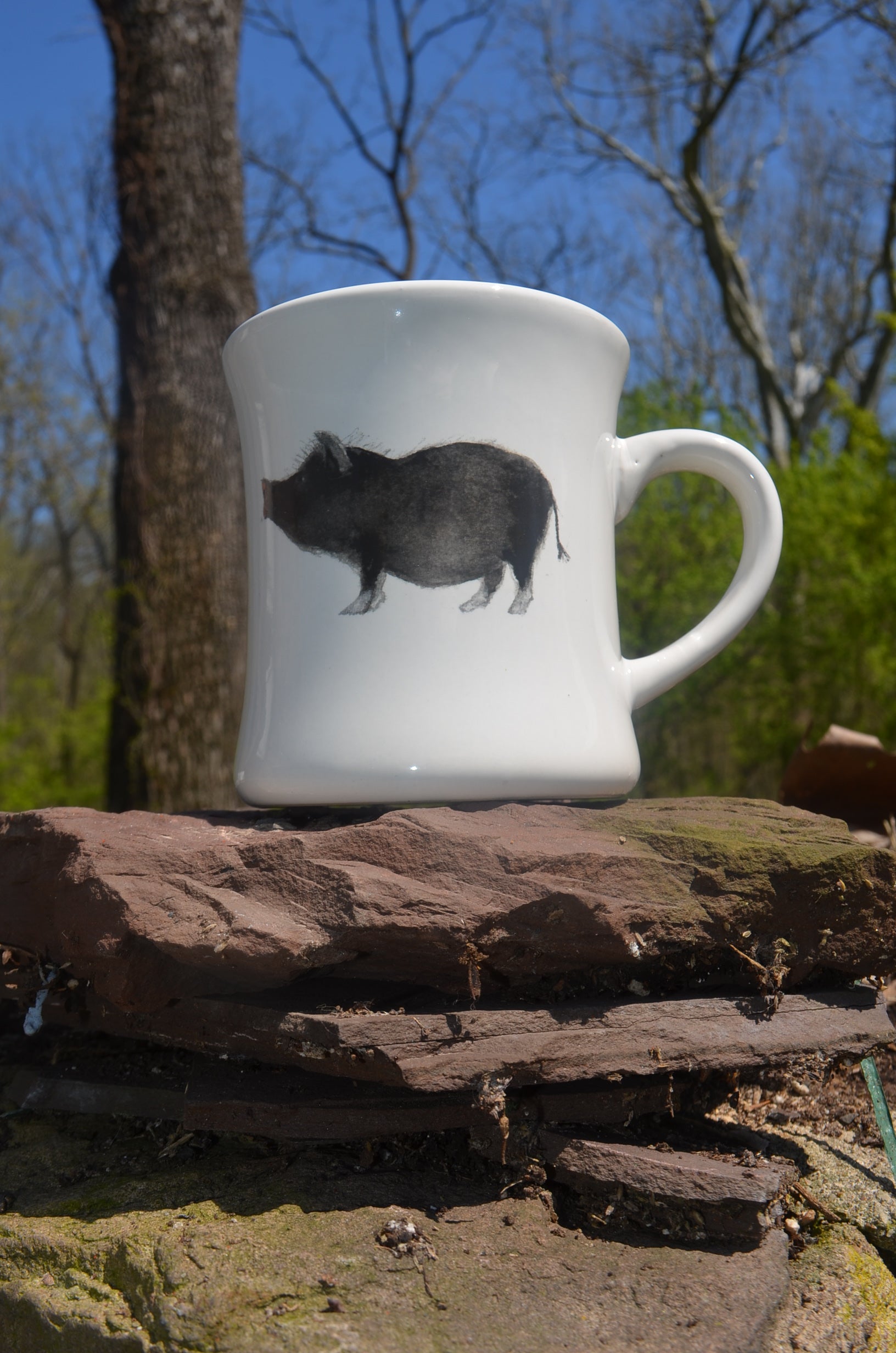 Miscellaneous – Ross Mill Farm - Home of the Pet Pig